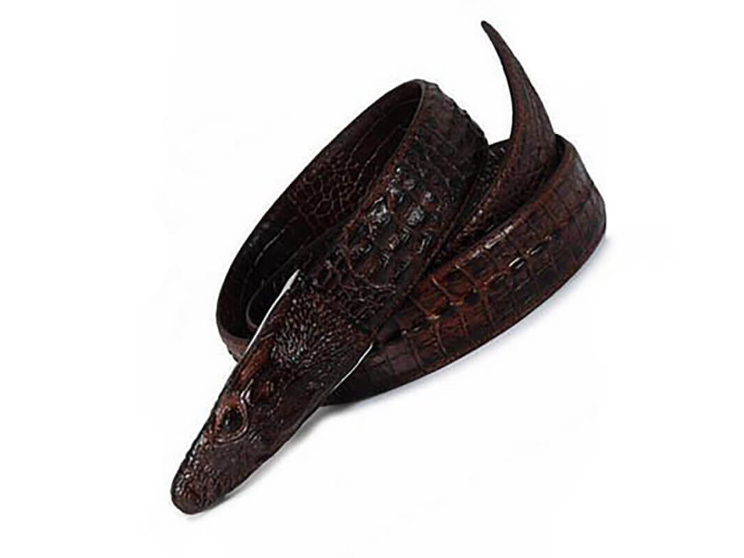 Alligator Buckle Brown Belt - tommytwice.com